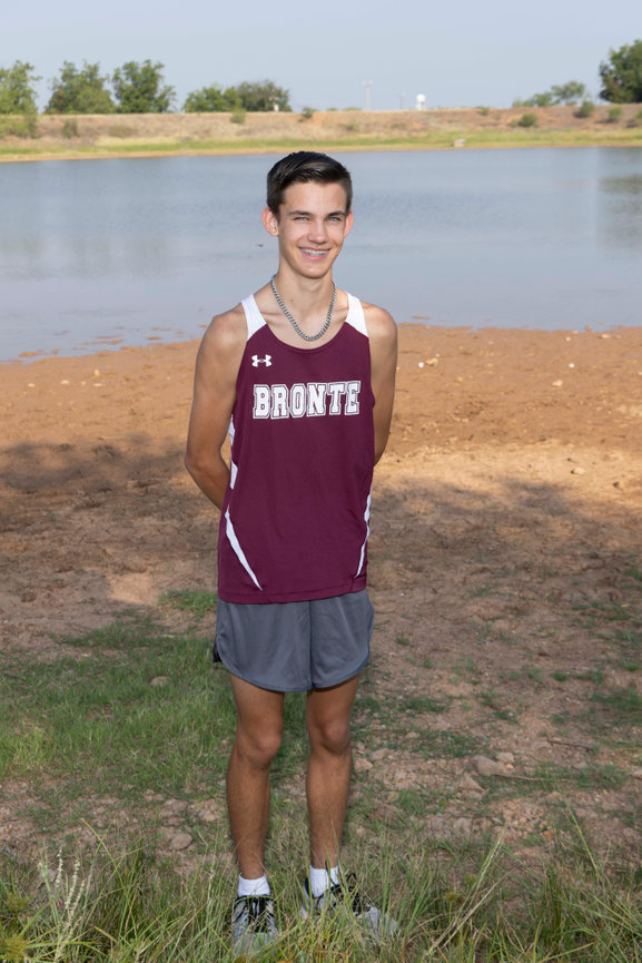 BRONTE SCHOOL - Scherz Studio