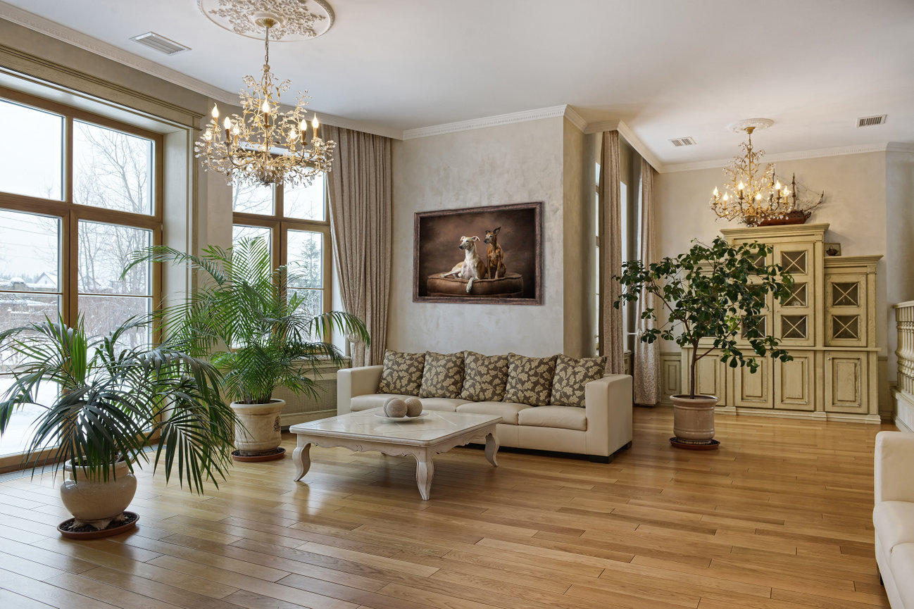 Photo Session Information - Tangerine House of Design - Minneapolis Pet ...