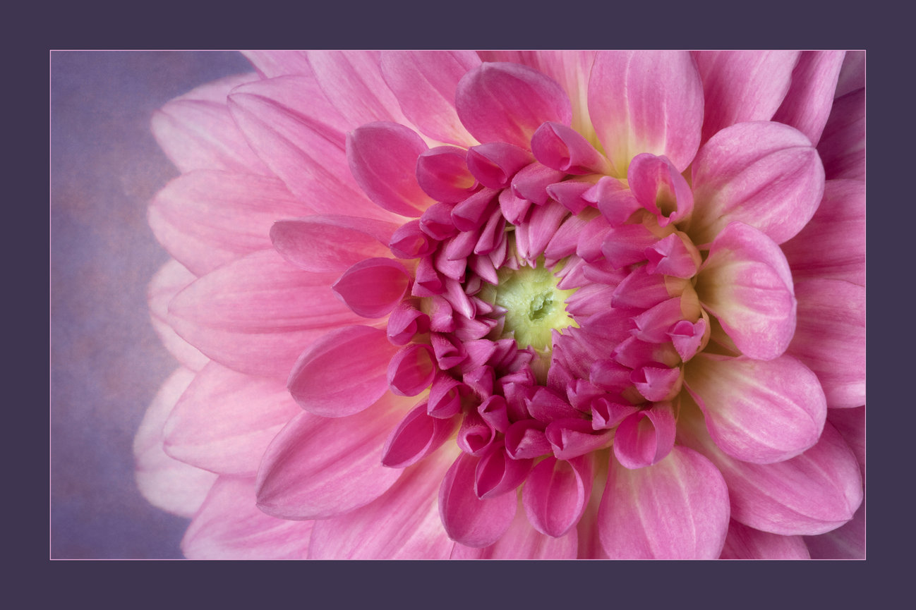 Oct 11, 2022 - Photographic Competition - Jennifer Biddle