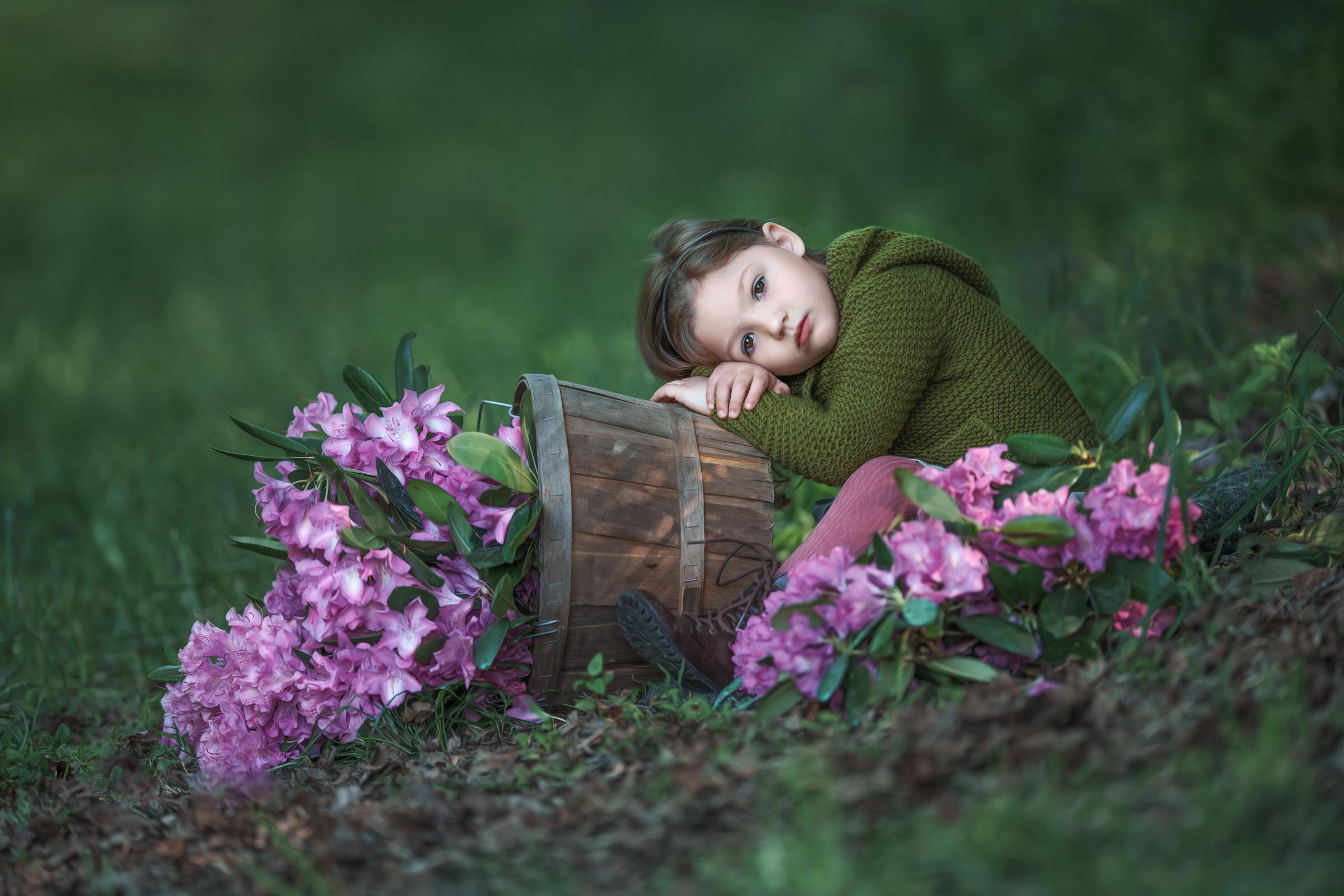 Experience The Beauty Of Wildflower Season With Mars Pa Photographer