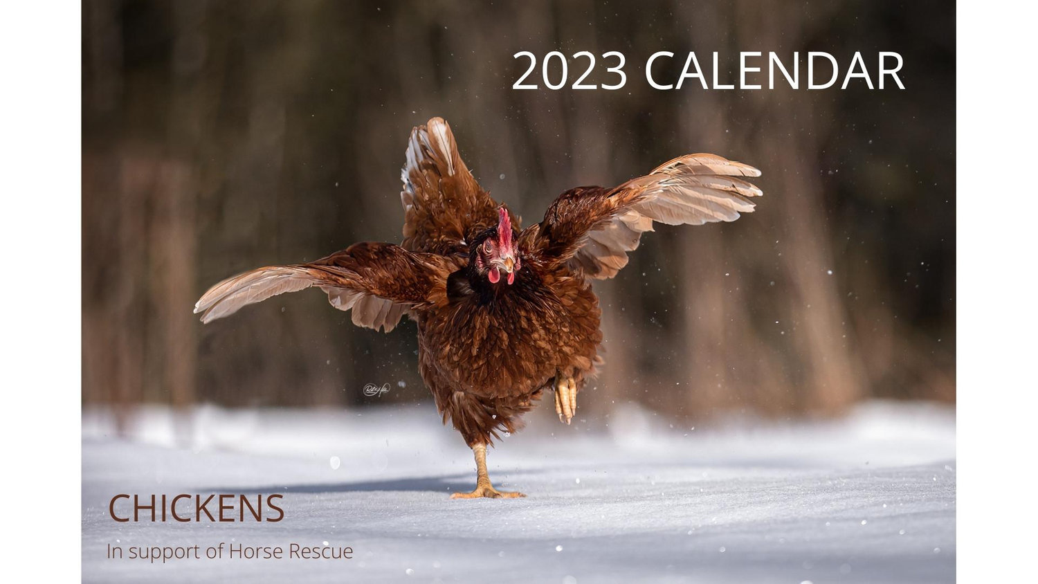 Chicken Calendar: Purchase - Paw Prints Pet Photography