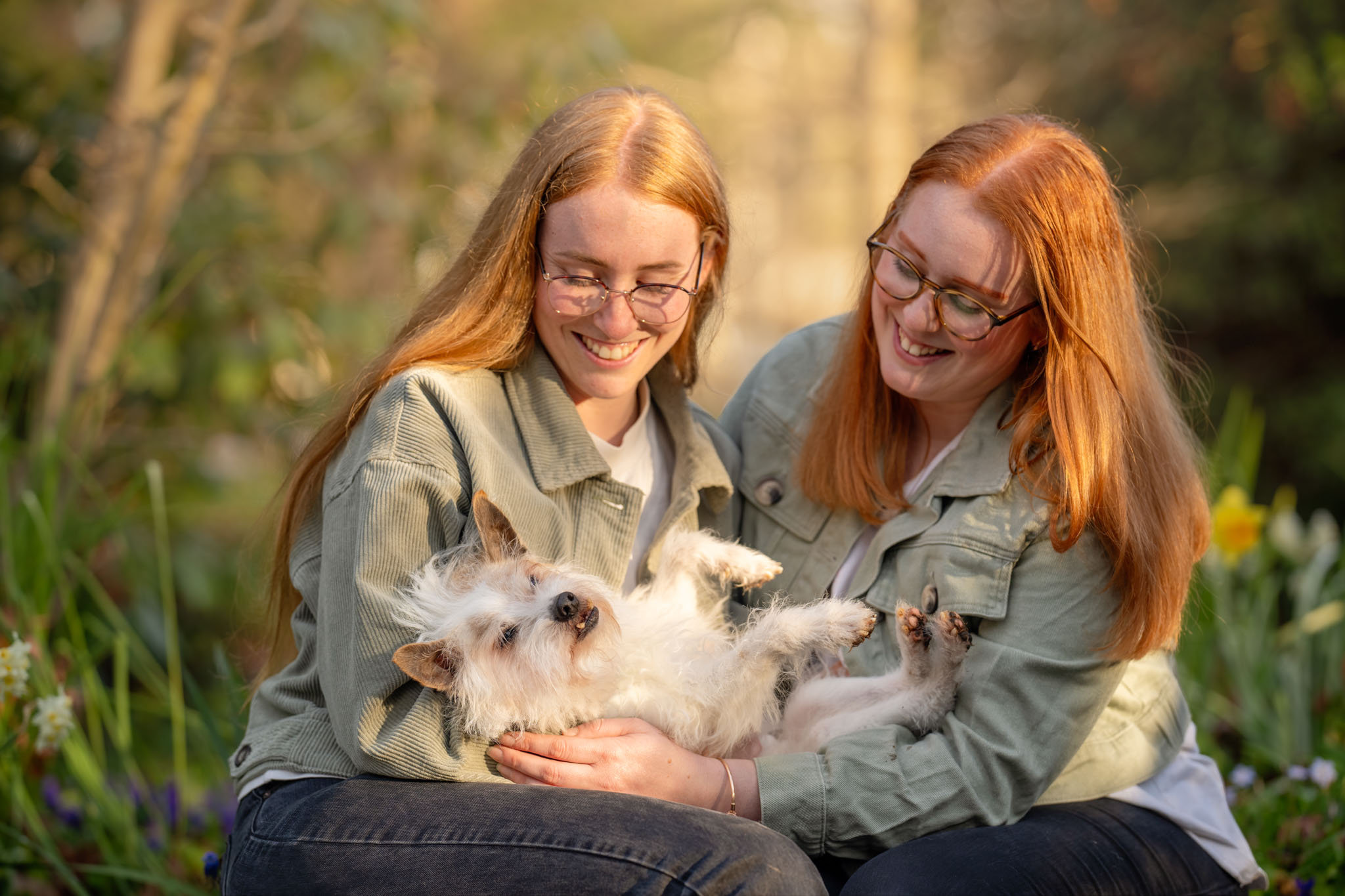 Bobbie the Brave Boy - Canberra Award Winning Pet and Dog Photographer ...