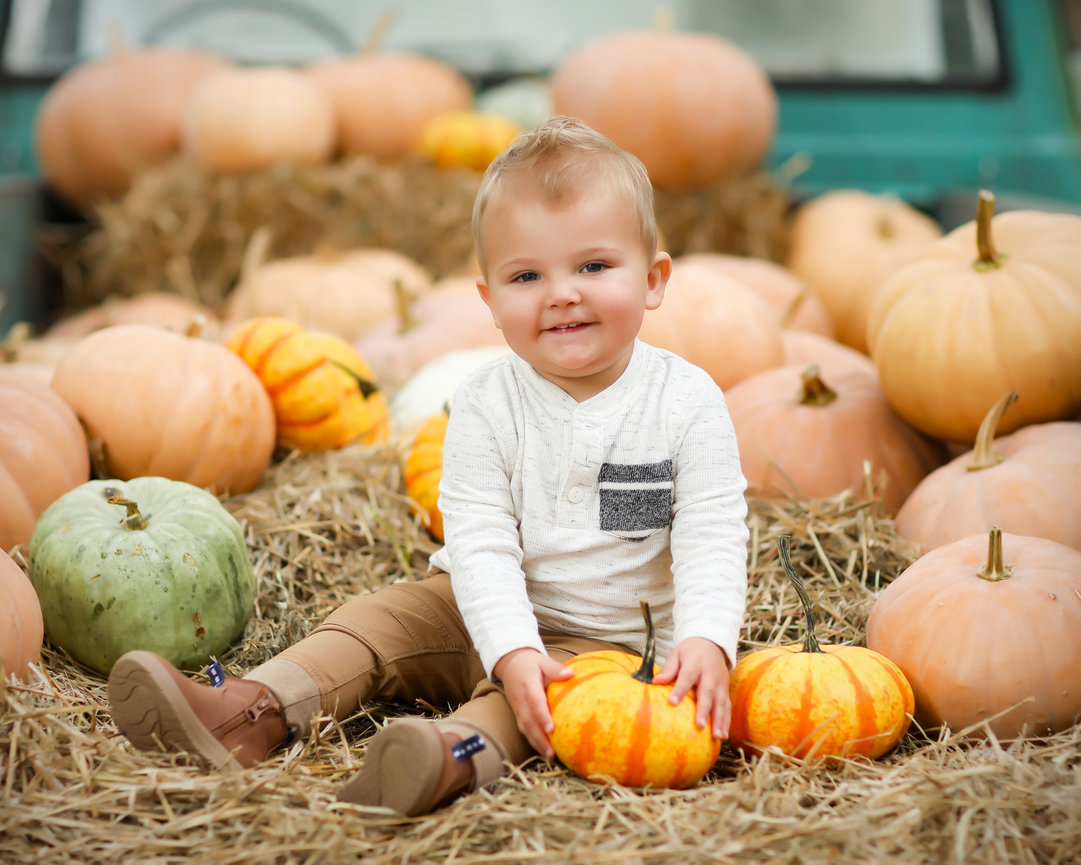 SEASONAL - Gregory Knott Photography