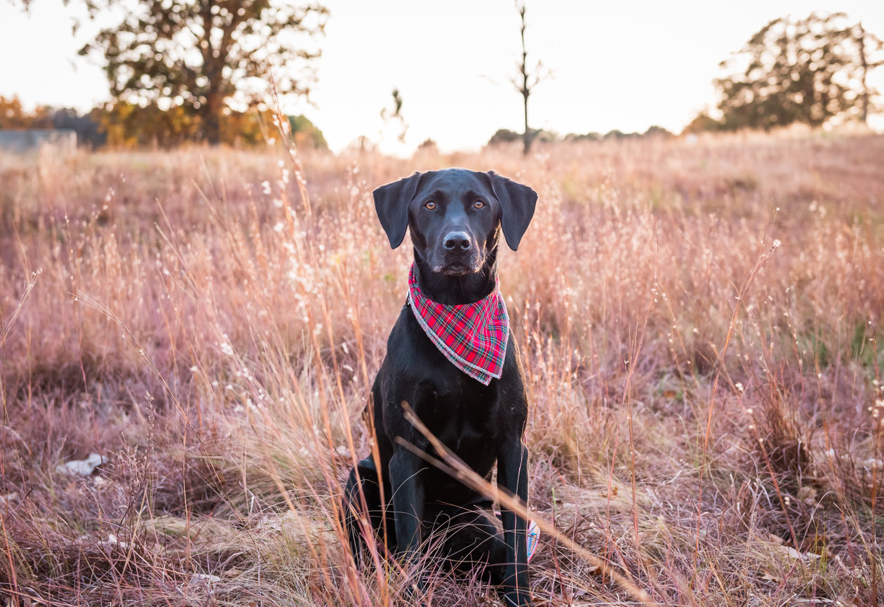 HOME - April Eason Photography