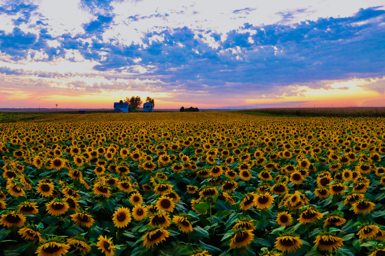 Iowa landscapes & places in Iowa Fine art digital photography