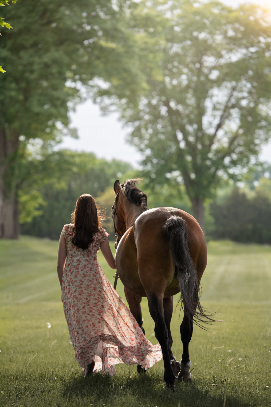 10 Reasons to Have an Equine Photography Session - Rough Coat Photography