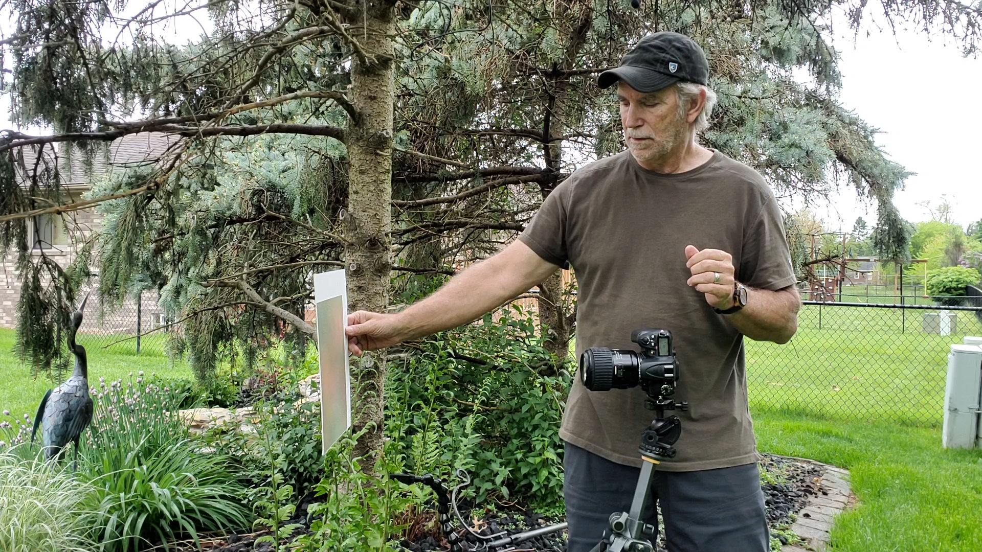 Natural Backgrounds - Mike Moats - Award Winning Macro Photographer