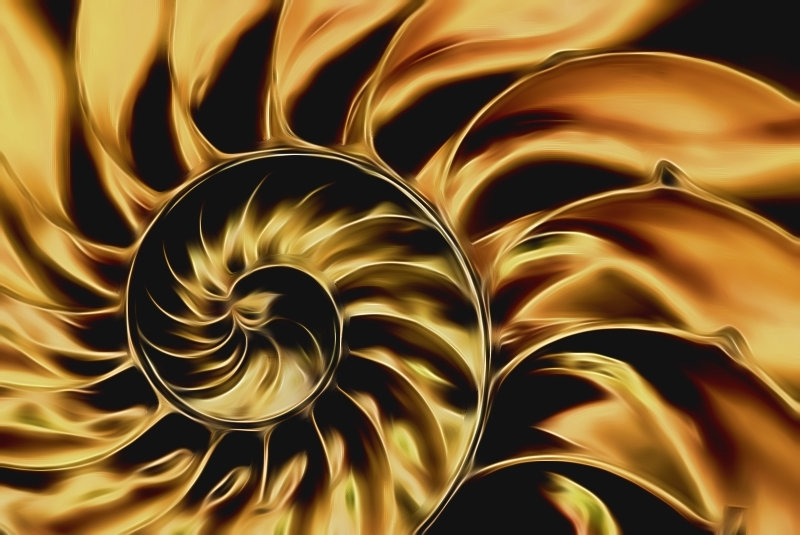 The Greatest Artist of All Time - Mike Moats - Award Winning Macro ...