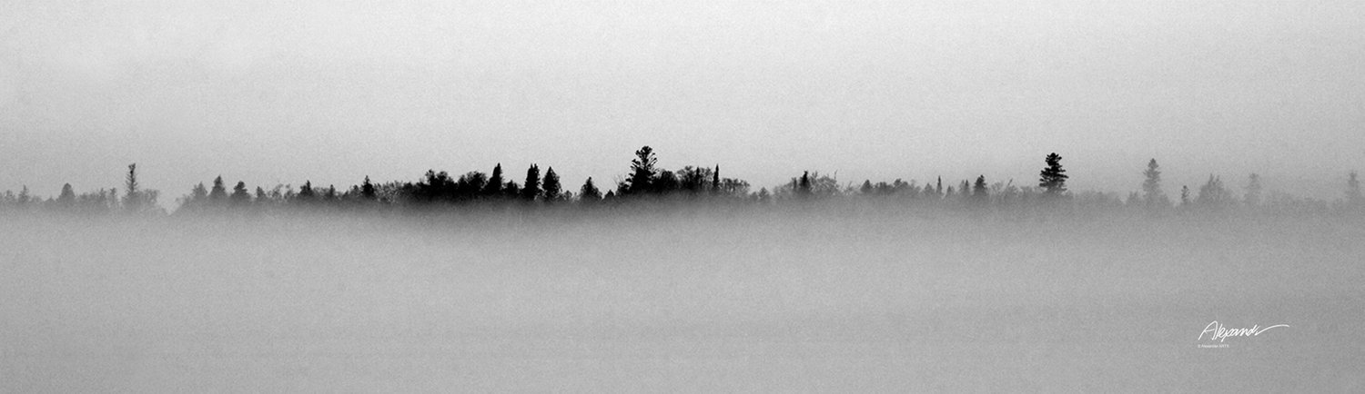 CONTACT - John M Alexander