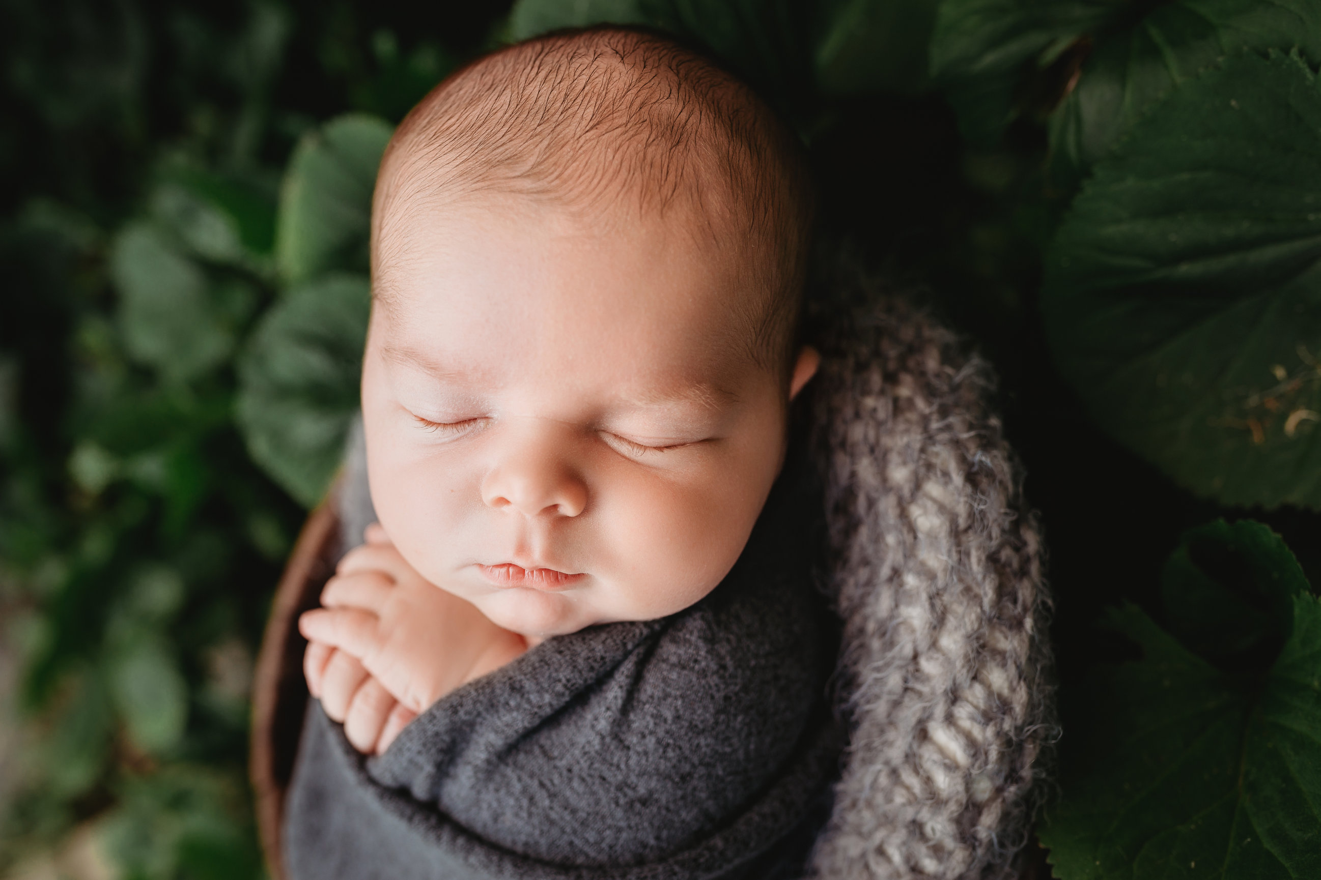 Outdoor Newborn Session {$400} - Angela Ashby Photography