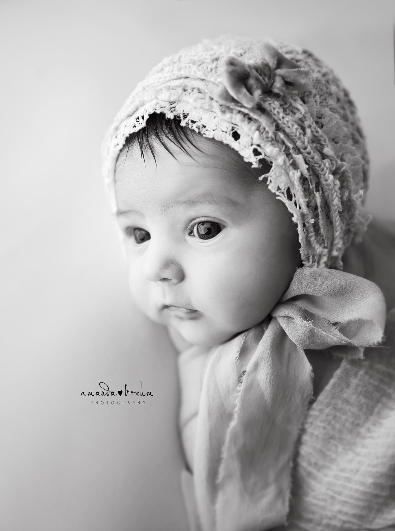 home - Amanda Brehm Photography