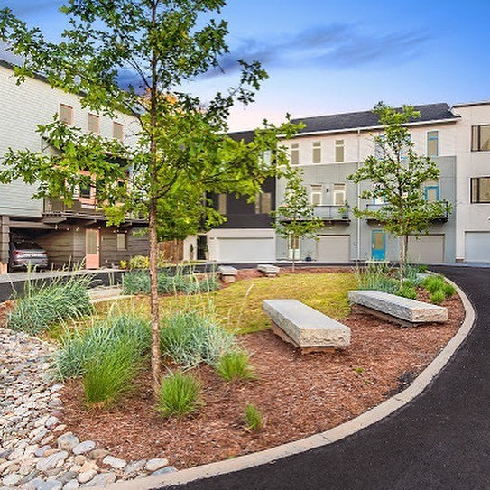 Urban forest landscape after its final phase - Brendan E Butler