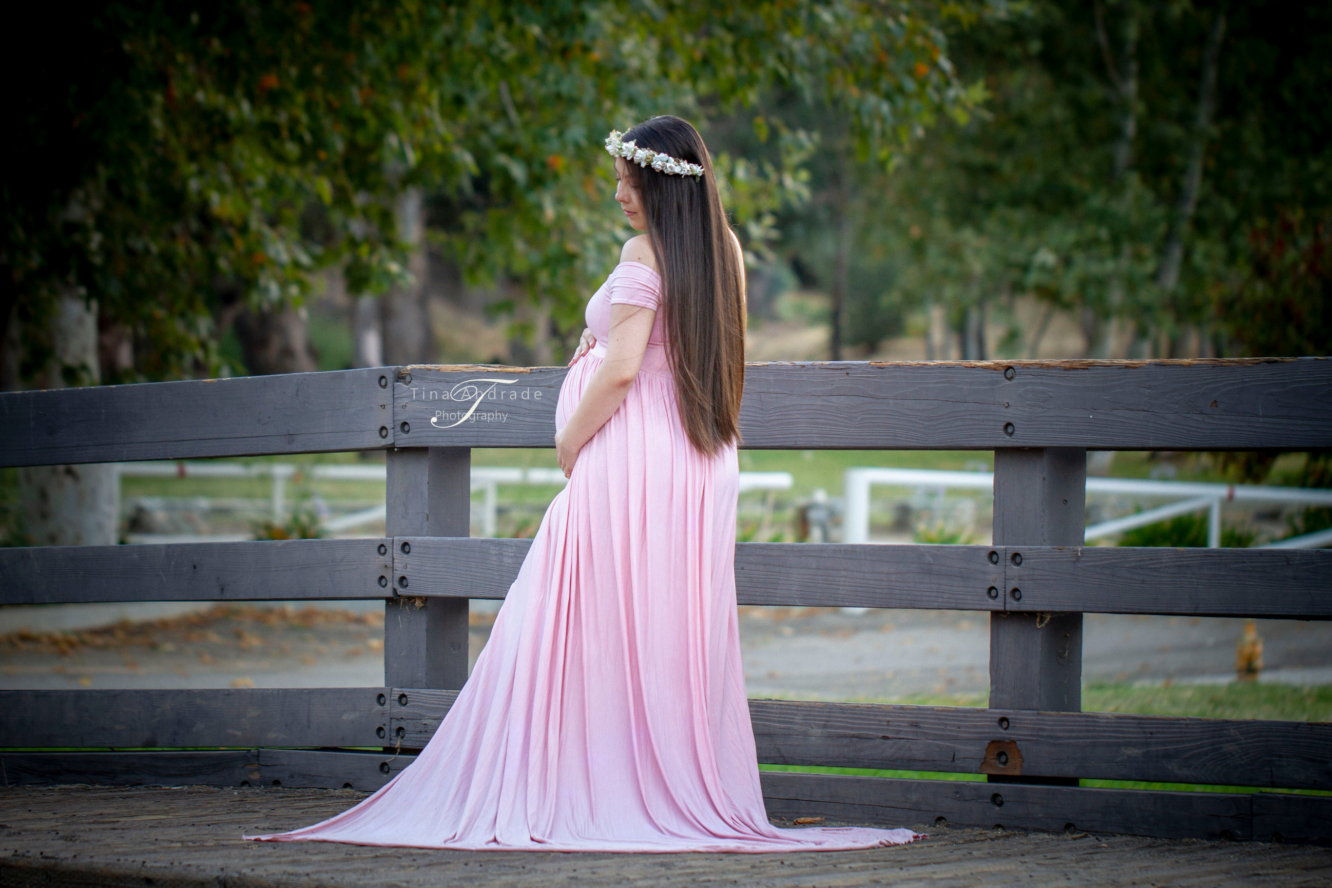 Home - tina andrade photography