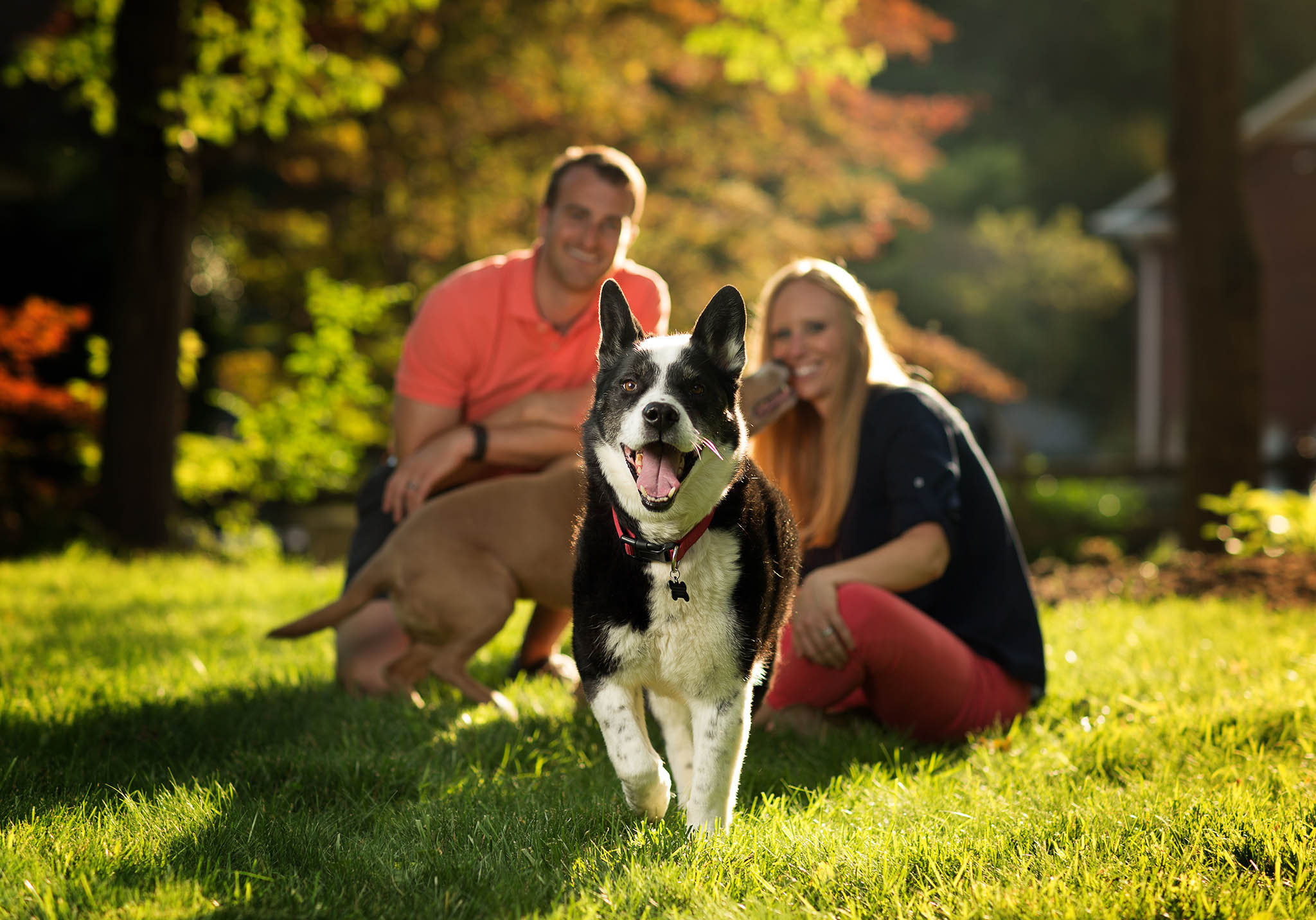 Family Portraits in Kernersville, NC | Doug Burke Photography