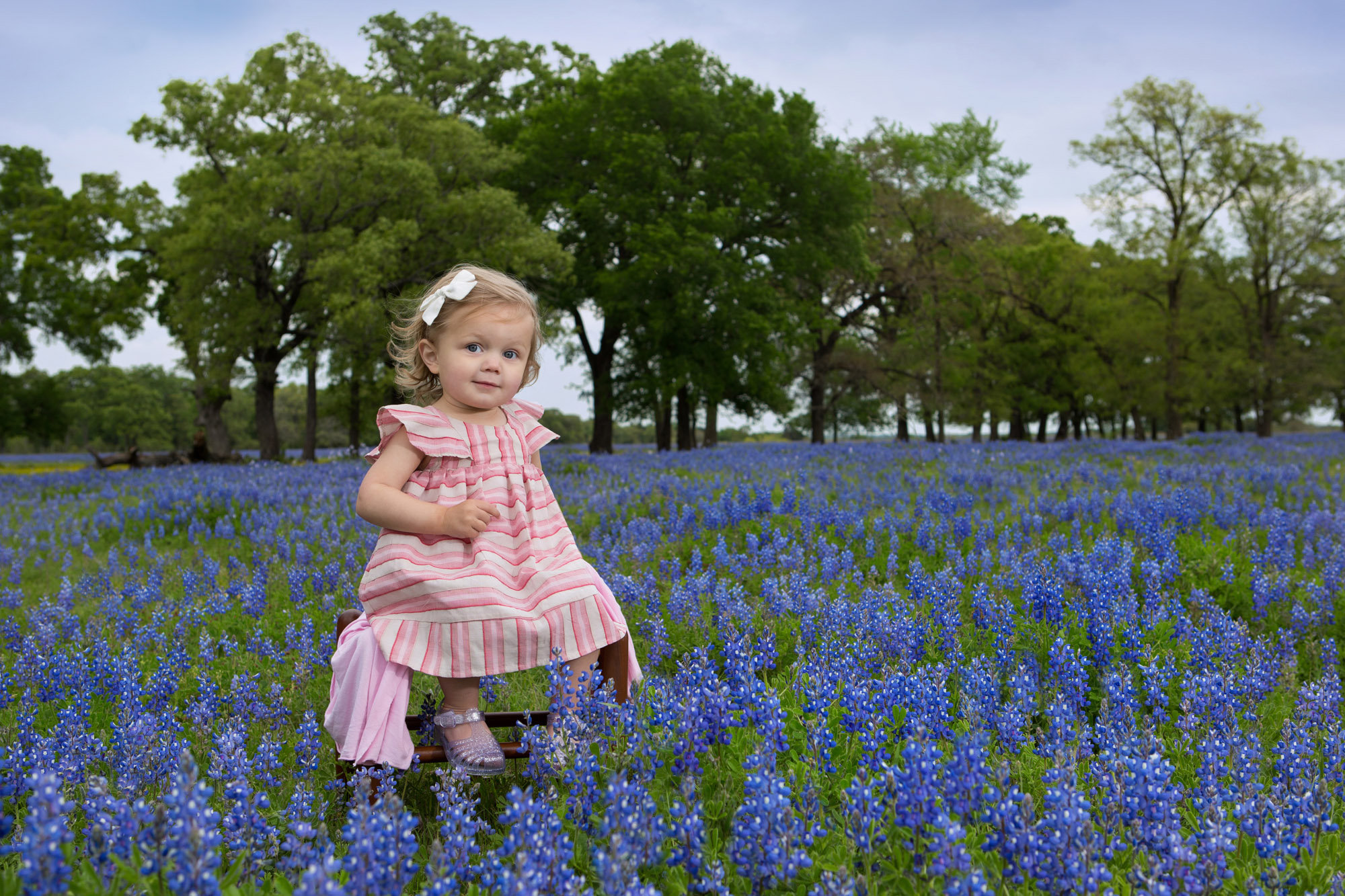 BLUEBONNET PORTRAITS - Photography by Niki