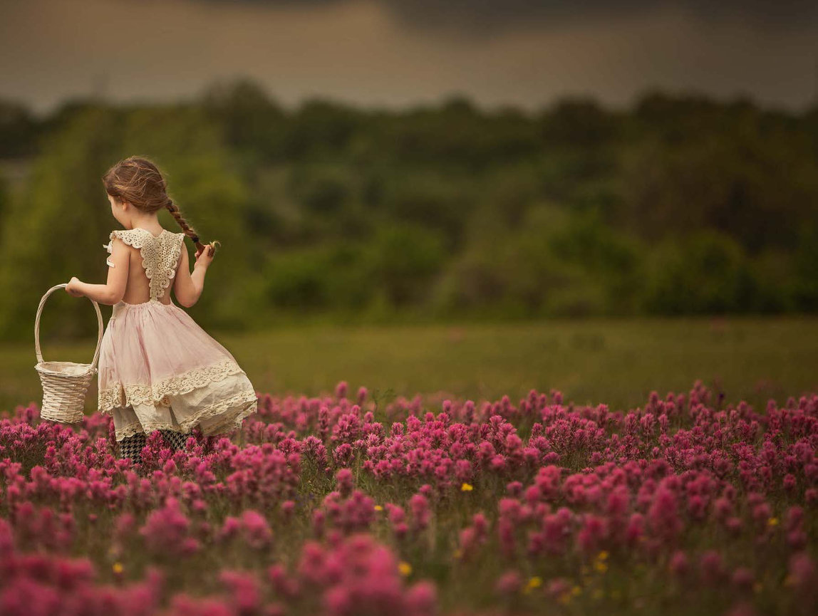 Privacy Policy - Braly Studios Family Photographer