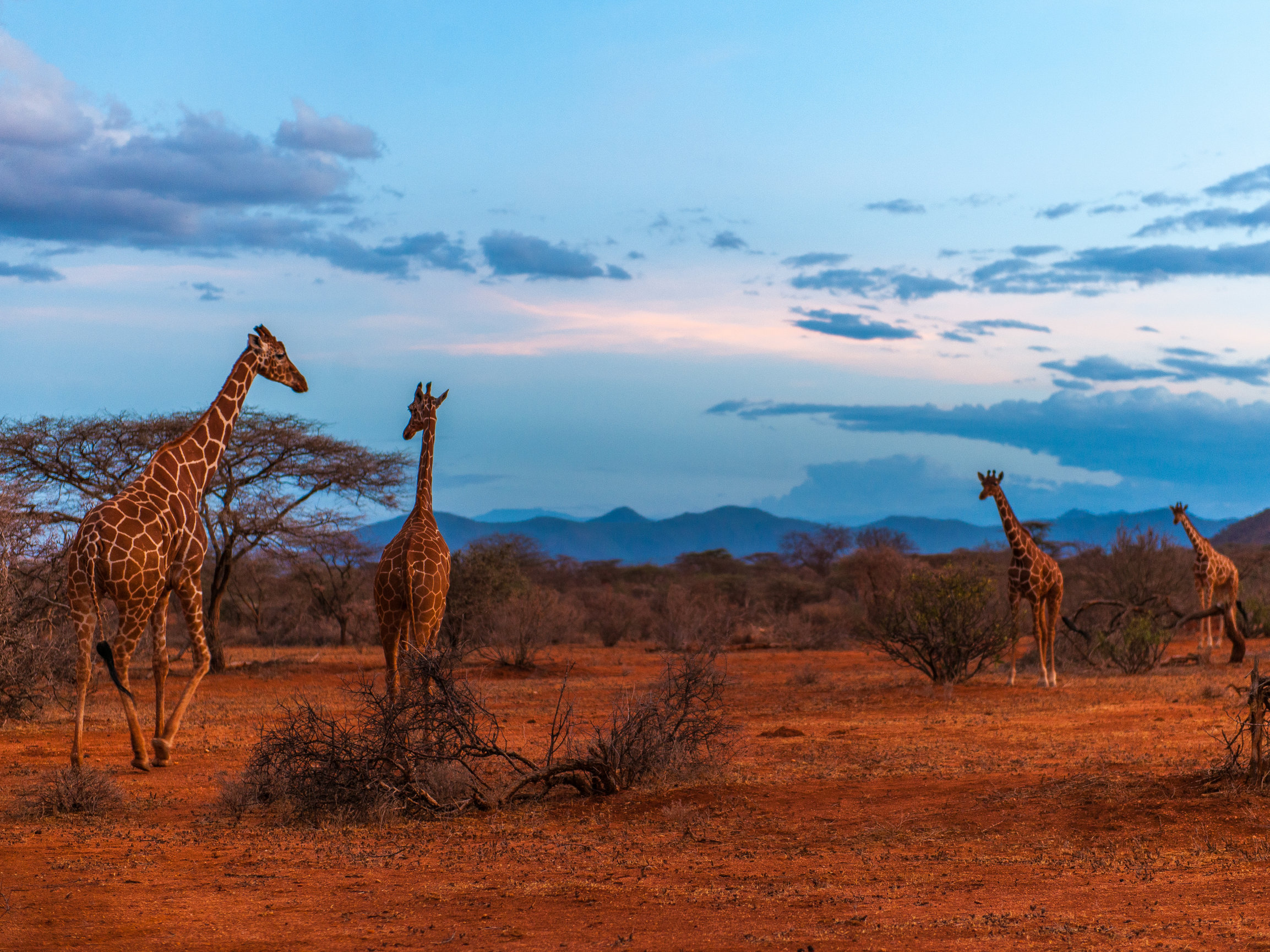 HOME - Lee Walsh Photography